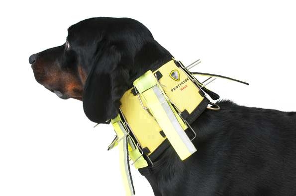Halsskydd för hund, Dogtech Neck Vargskydd - Vildmarkskallare.se webbutik